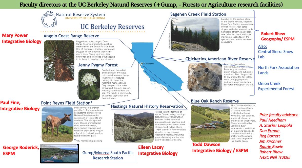 Robert Rhew completes term as Faculty Director of the Central Sierra ...