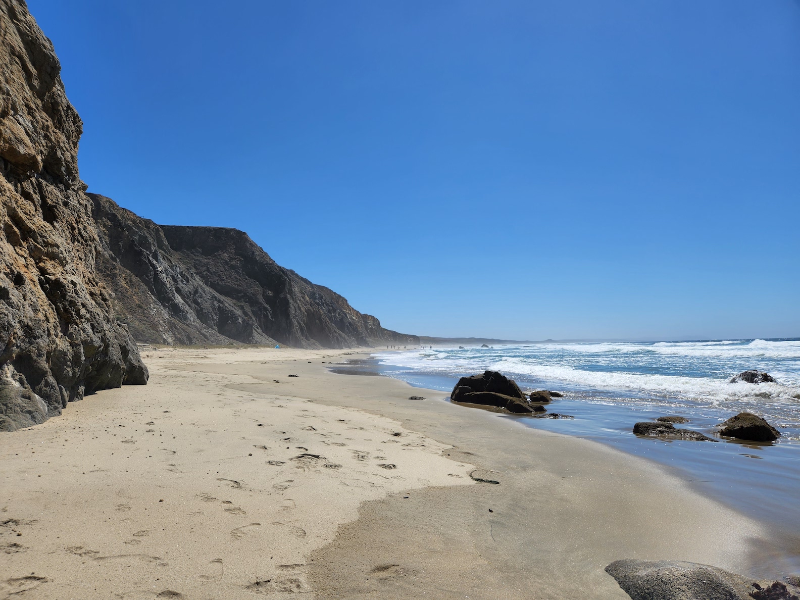 Fall 2022 teaching wrap up | Rhew Lab @ SIO